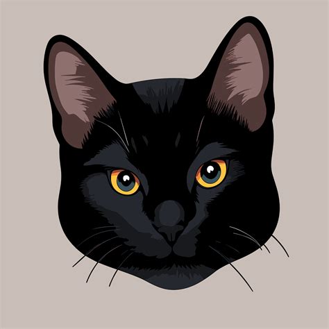100 000 Free Sexy Cat Person And Cat Images Pixabay