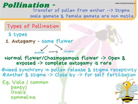 Reproduction In Plants Angiosperm Mission Nursing