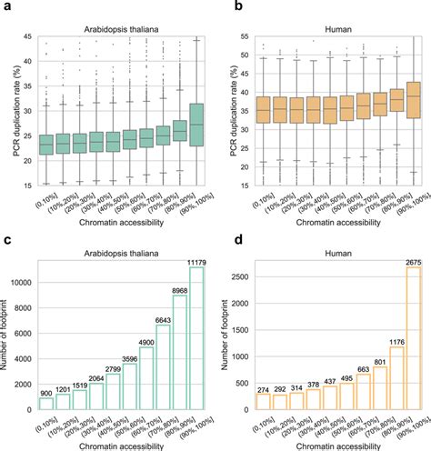 Pcr Duplication Rates And The Number Of Identified Footprints In Download Scientific Diagram