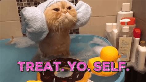 Treat Yo Self Cute Cat Bath GIFDB