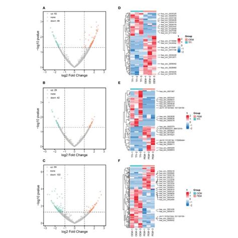 Circrna Expression Patterns Of Cumulus Cells In Patients With Oem N Download Scientific