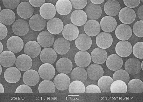 氧化铁载苯乙烯和甲基丙烯酸p St Maa 磁性微球 Ps微球载纳米铁降解硝基苯的研究制备 苯乙烯丙烯酸共聚磁性微球 Csdn博客