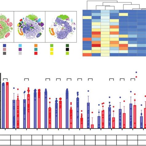 T Sne And Flowsom Analysis Reveal Differently Expressed Plasma Ev Download Scientific Diagram
