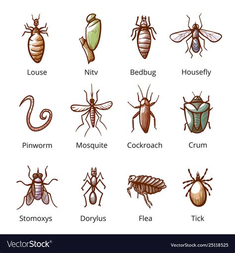 تطبيق Capc Internal Parasites Id Doctor