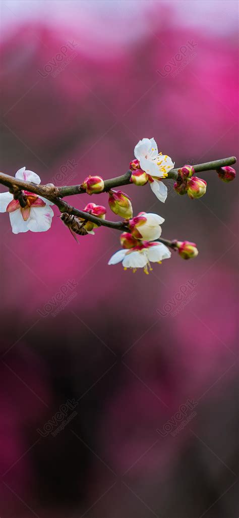 Hd Various Professions Wallpaper Background For Mobile And Desktop Free Download Lovepik