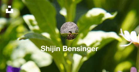 Shijin Bensinger Shijin Bensinger Unsplash Photo Community
