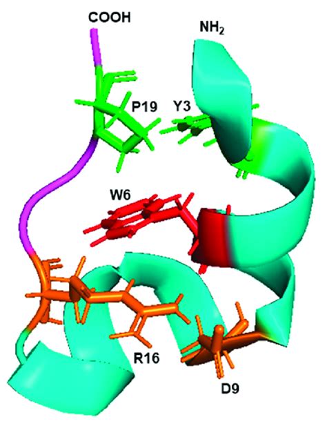 Trp Cage Fold The 3d Structure Pdb 2jof Of The 20 Amino Acid Long