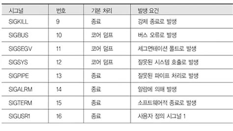 시스템 프로그래밍 9 1 시그널 배고픈 개발자