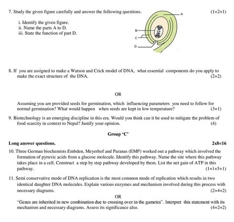 Biology NEB Grade Model Question