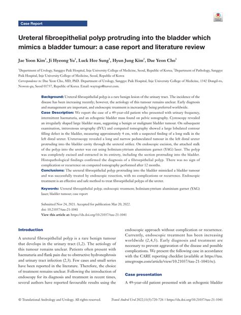 Pdf Ureteral Fibroepithelial Polyp Protruding Into The Bladder Which Mimics A Bladder Tumour