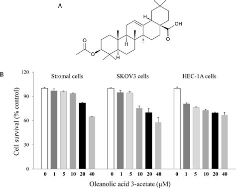 Oleanolic Acid 3 Acetate A Minor Element Of Ginsenosides Induces