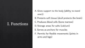 Human A P Skeletal System Complete Lesson PowerPoints Assessments Bundle