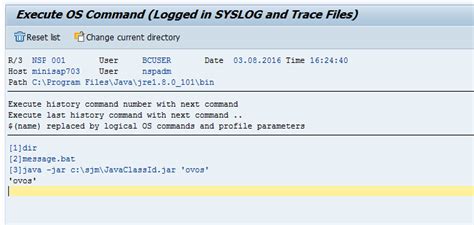abap sap abapfox aprenda abap definitivamente sap abap execute