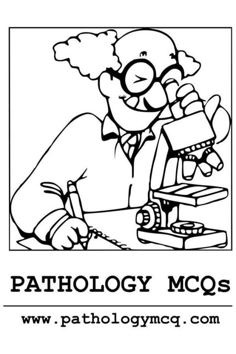 Normal Histology Of The Thymus Pathology Mcqs