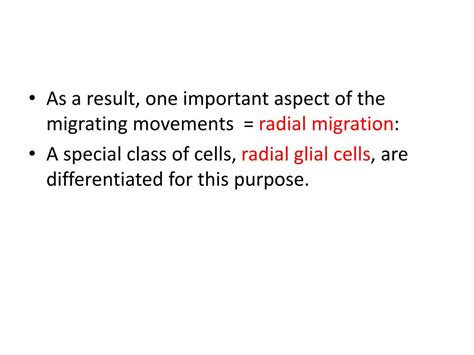 Ppt Neuronal Migration In Cns Development Powerpoint Presentation Free Download Id 3430346
