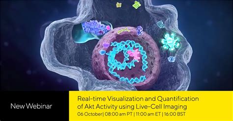 Incucyte® Live Cell Analysis Systems On Linkedin Livecellimaging Cellbiology Akt