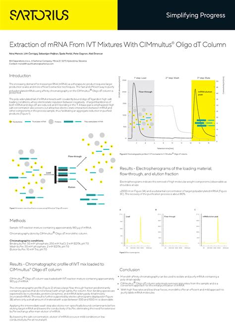Cimmultus Oligo Dt Affinity Column Based Extraction Of Mrna From Ivt