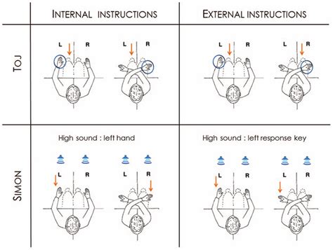 Top Row Temporal Order Judgment Toj Task Under Internal Left Panel Download Scientific