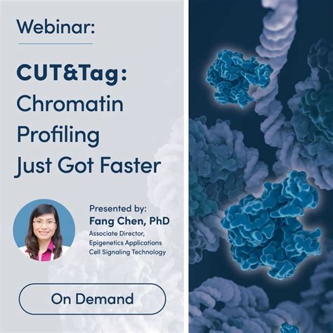 Streamline Your Chromatin Profiling With Cst® Cutandtag ~50 Faster Chromatin Profiling ~40 Fold