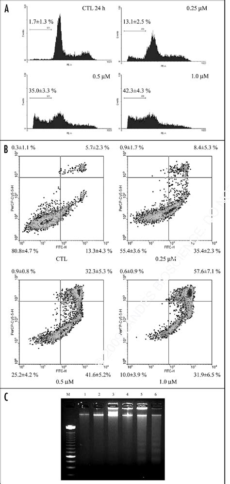 Apoptosis Induction On Pa Pdt Treated Mse Sa Cells A For Cell Cycle