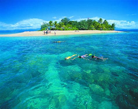 Snorkel Tour Port Douglas Low Isles Snorkel Trip Save 99 Families