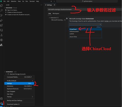 Azure Developervs Code Azure