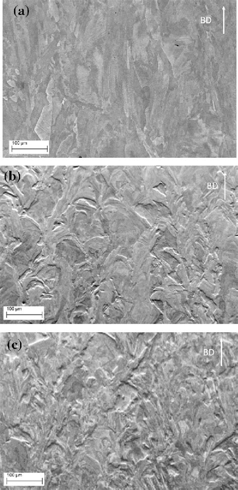 Sem Micrographs Sesi Of The Initial Microstructure Parallel To Their