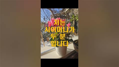 저는 시어머니가 두분입니다 노후사연오디오북 충격실화 Youtube