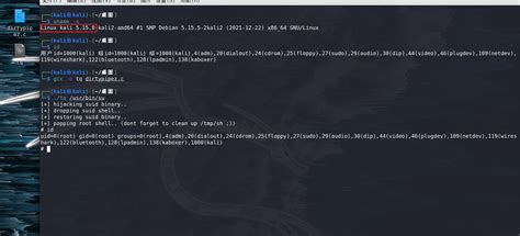 Linux本地提权cve 2022 0847漏洞复现 Assassins 小白