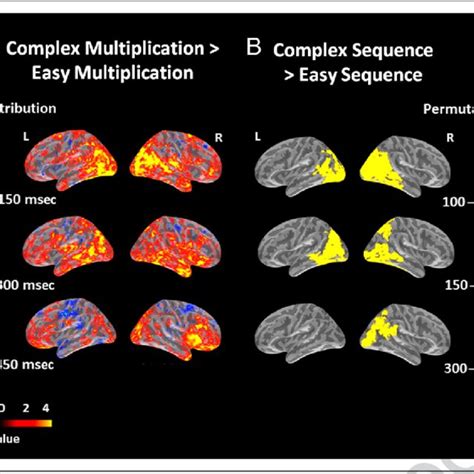 eeg meg minimum norm source estimates of task phases between 300 and download scientific