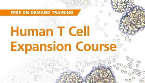 Stemcell Technologies On Linkedin On Demand Human T Cell Expansion Course
