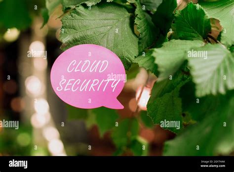 Text Caption Presenting Cloud Security Conceptual Photo Imposing A Secured System Of Existing