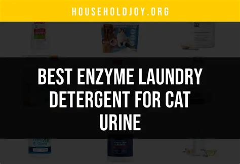 17 Best Enzyme Laundry Detergents For Cat Urine Cleanup