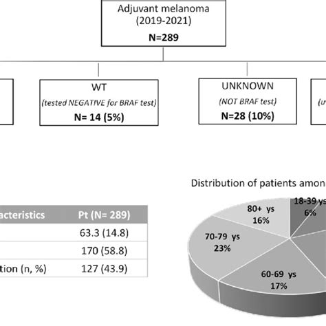 Cohort With Adjuvant Therapy For Melanoma With A Positive Sentinel Download Scientific Diagram