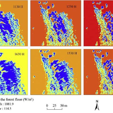 Spatial Patterns Of The Light Intensity In The Forest Floor On June 11 Download Scientific