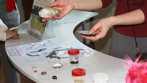 Семейные дни Латвийский Национальный музей природы