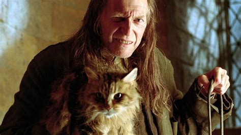 The Harry Potter Remakes New Filch Actor Was Already In The Movies