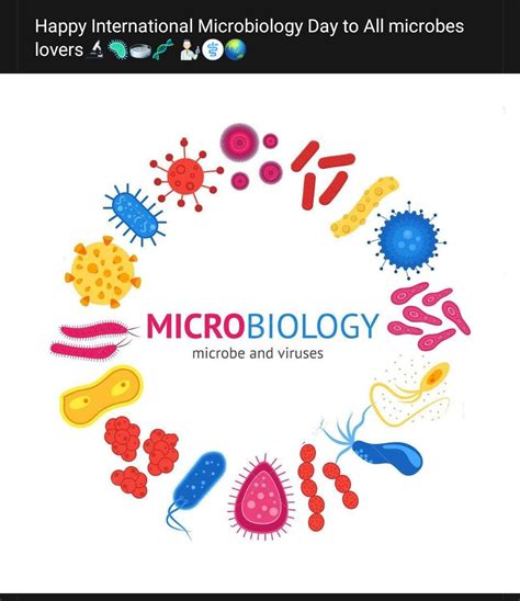 Subhashree Behera Posted On Linkedin