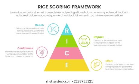 Rice Scoring Model Framework Prioritization Infographic Stock Vector Royalty Free