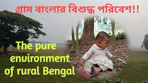 Natural Environment Of Rural Bengal গ্রাম বাংলার প্রাকৃতিক পরিবেশ Youtube