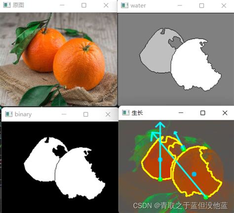 使用opencv C完成图像中水果分割（分水岭、形态学操作、通道处理）单独标记每个水果opencv 切水果 Csdn博客