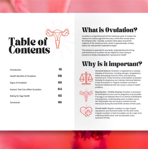 Ovulation Explained Funk It Wellness