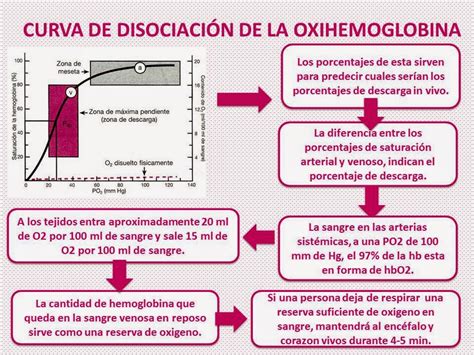 Blog De Fisiología Uas Valeria Medel García Curva De DisociaciÓn De