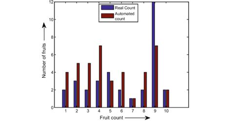 graph showing real count versus automated count for simulation of peach