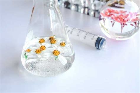 Pharmacokinetics Of Doxycycline