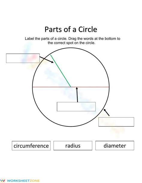 Parts Of A Circle Worksheet