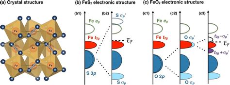 A Crystal Structure Of Feo 2 And Fes 2 Can Be Visualized As A Download Scientific Diagram