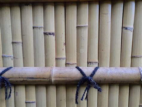 Bamboo Walls Texture Blade Bamboo Wall Textures And Backgrounds Stock