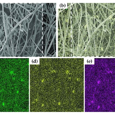 A Sem Image Of The Nanofibers With Batio3 Nanoparticles B Download Scientific Diagram
