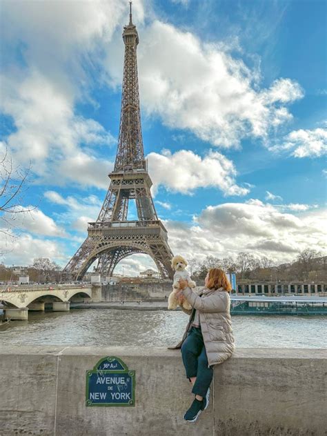 반려생활 애견동반 유럽여행 강아지랑 유럽 여행 준비할 때 필요한 것들